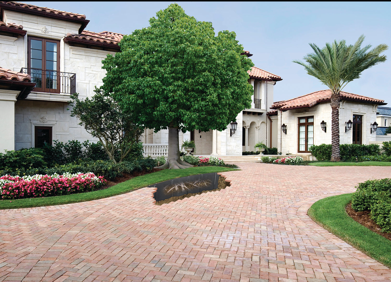 About – Century Products